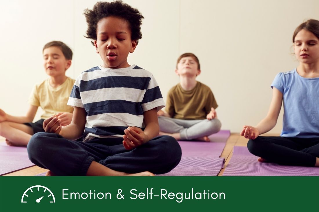 Think:Kids : What Are Emotion Regulation Skills and Why They Are Important